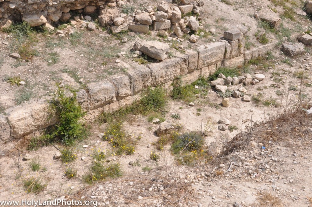 King Omri: An Archaeological Biography – Bible Archaeology Report