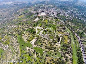 King Omri: An Archaeological Biography – Bible Archaeology Report
