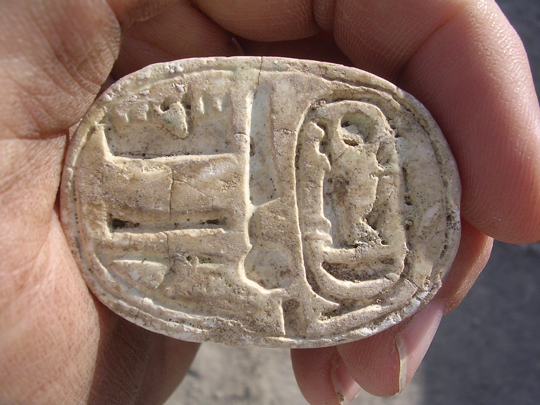 Discussions with the Diggers: Dr. Dale W. Manor – Bible Archaeology Report