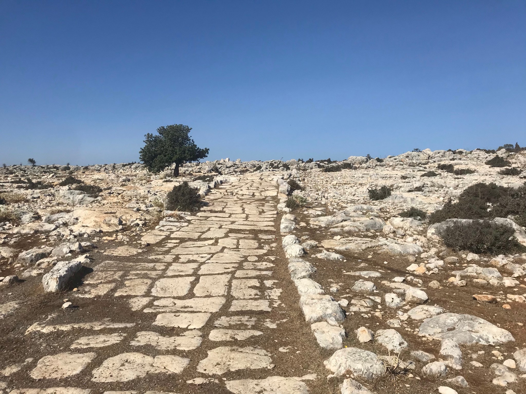 Top Ten Discoveries Related to Paul – Bible Archaeology Report