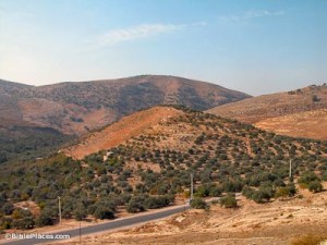 King Pekah: An Archaeological Biography – Bible Archaeology Report