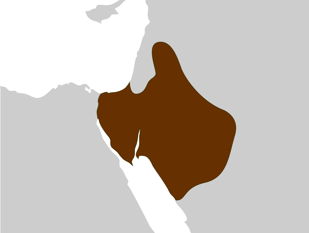 Aretas IV: An Archaeological Biography – Bible Archaeology Report